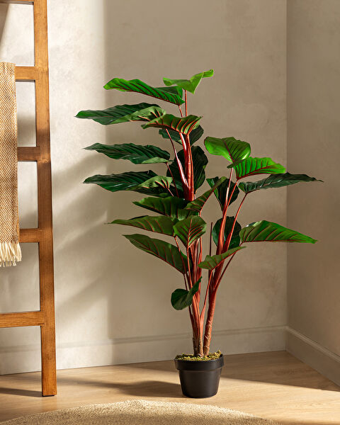 Estella Potted Flower 1KCICK1826139 - Madame Coco